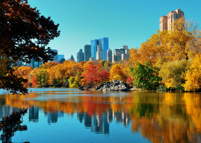 Foliage a New York: guida con periodo migliore, parchi e mappa