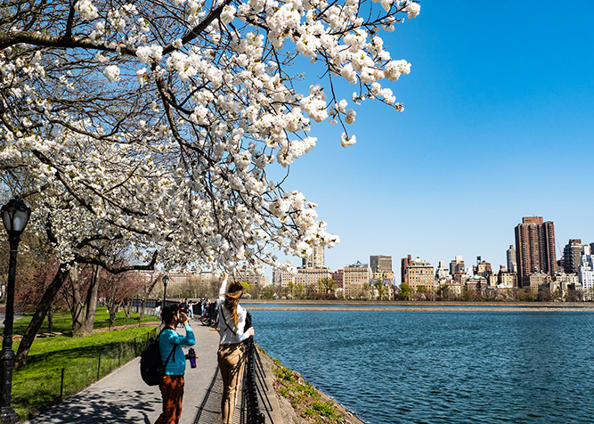 New York in primavera - cosa fare e vedere a NYC in primavera